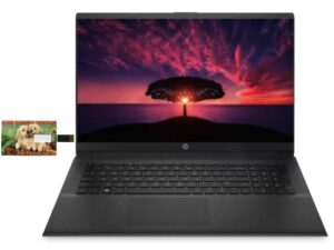 hp 17 business laptop computer, 17.3″ hd anti-glare screen, amd athlon gold 3150u processor, windows 10 pro, 12gb ram, 256gb ssd, wifi, long battery life, jet black, 32gb durlyfish usb card