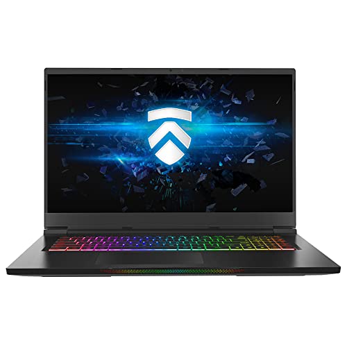 Eluktronics MAX 17 (2022) 17.3" Gaming Laptop: Intel Core i7-12700H, NVIDIA RTX 3060, Thunderbolt 4, 1TB PCIe Gen 4 SSD, 16GB DDR5 RAM, Windows 11 Home, 17.3 inch QHD 240Hz Ultra Light Notebook