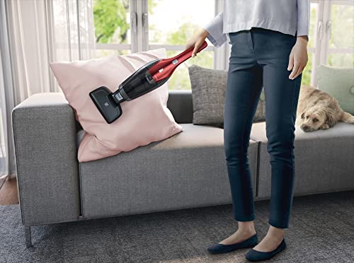 Electrolux Ergorapido Stick, Lightweight Cordless Vacuum with LED Nozzle Lights and Turbo Power Battery, for Removing Pet Hair from Carpets and Hard Floors, in, Chili Red