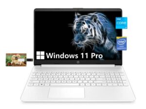 hp pavilion business laptop, 15.6″ hd display, 11th gen intel core i3-1115g4 processor, windows 11 pro, 16gb ram, 1tb ssd, webcam, hdmi, type-c, numeric keypad, long battery life, pc mall usb card