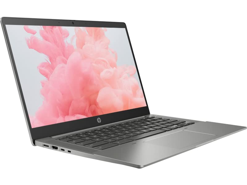 2022 HP Flagship Chromebook, 14" IPS Full HD(1920x1080) Screen with Anti-Glare, AMD Dual-Core Processor Up to 3.5 GHz, 4GB DDR4 Ram, 128GB SSD, Webcam, Chrome OS, Ash Gray (Renewed)