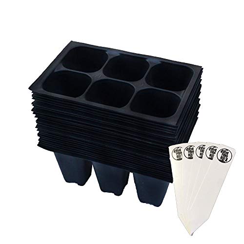 The Hydroponic City Seed Starter Tray, 144 Cells (24 Trays - 6 Cells Per Tray) + THCity Stakes