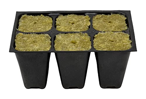 The Hydroponic City Seed Starter Tray, 144 Cells (24 Trays - 6 Cells Per Tray) + THCity Stakes