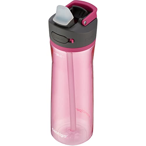 Contigo Ashland 2.0 24OZ Dragon Fruit