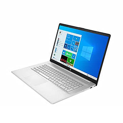 2021 HP 17.3" HD+ Touchscreen Laptop Computer, AMD Ryzen 5-5500U(6-core) Processor, 12GB DDR4 RAM, 1TB HDD, AMD Radeon Graphics, HD Audio, HD Webcam, HDMI, Win10, Silver, 32GB USB Card (Renewed)