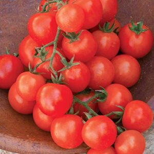 burpee ‘sweetie’ organic | heirloom red cherry tomato | 125 seeds