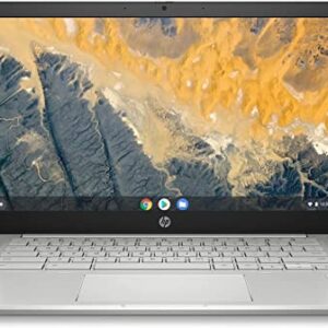 HP Pro Chromebook Laptop c640EG1 14" FHD Intel Core i3-10310U, Intel UHD Graphics, 8GB DDR4 RAM, 64GB eMMC Storage, Chrome OS, Natural Silver (Renewed)