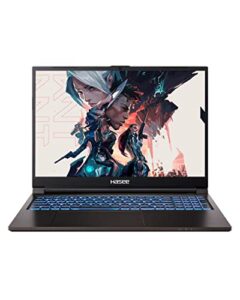 hasee t8 (16”, i9-12900h, rtx3060), gaming laptop, i9-12900h 5.0ghz, 16g ddr4 ram, 1t nvme pcie4.0 ssd, rtx3060 6g gddr6, 16” 2.5k 165hz ips display, rgb kb, wifi 6, bt 5.2, win11, obsidian black