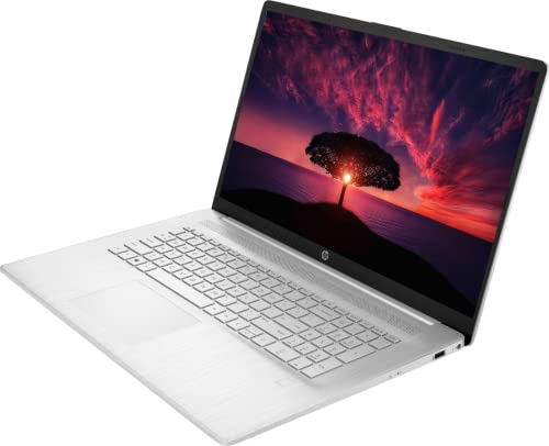 HP 17.3'' FHD IPS Display Business Laptop, AMD Ryzen 5 5500U Processor, Windows 10 Pro, 16GB RAM, 512GB SSD, Wi-Fi, Bluetooth, Webcam, Fingerprint Reader, Long Battery Life, Durlyfish