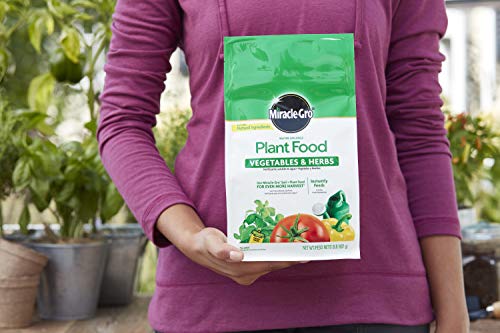 Miracle-Gro Water Soluble Plant Food Vegetables & Herbs 2 lb