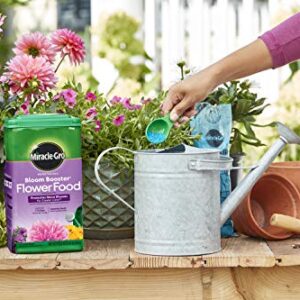 Miracle-Gro Water Soluble Bloom Booster Flower Food - Big Blooms for Vibrant Color, 5.5 lb.