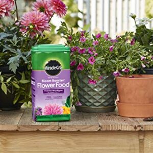 Miracle-Gro Water Soluble Bloom Booster Flower Food - Big Blooms for Vibrant Color, 5.5 lb.