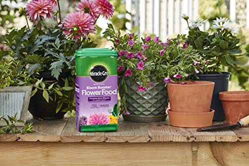 Miracle-Gro Water Soluble Bloom Booster Flower Food - Big Blooms for Vibrant Color, 5.5 lb.