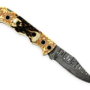 Back Lock Handmade Folding knife Pocket knife Damascus Steel Blade Back Lock Stag Horn Handle Leather Sheath BW-5160