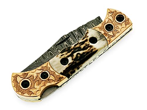 Back Lock Handmade Folding knife Pocket knife Damascus Steel Blade Back Lock Stag Horn Handle Leather Sheath BW-5160