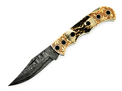 Back Lock Handmade Folding knife Pocket knife Damascus Steel Blade Back Lock Stag Horn Handle Leather Sheath BW-5160