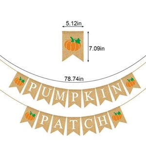 Rainlemon Jute Burlap Pumpkin Patch Banner Fall Autumn Theme Little Pumkin Birthday Party Garland Decoration