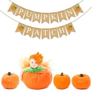 Rainlemon Jute Burlap Pumpkin Patch Banner Fall Autumn Theme Little Pumkin Birthday Party Garland Decoration