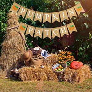 Rainlemon Jute Burlap Pumpkin Patch Banner Fall Autumn Theme Little Pumkin Birthday Party Garland Decoration