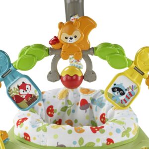 Fisher-Price Woodland Friends SpaceSaver Jumperoo [Amazon Exclusive]