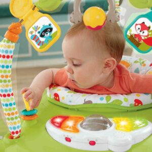 Fisher-Price Woodland Friends SpaceSaver Jumperoo [Amazon Exclusive]