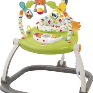 Fisher-Price Woodland Friends SpaceSaver Jumperoo [Amazon Exclusive]