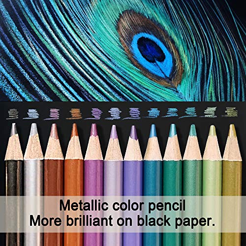 Artownlar 72 Pack Drawing Sketching Set with 8x11 Sketchbook | Pro Art Supplies Kit for Artist Adults Teens Beginners | Video Tutorial,Charcoal, Watercolor & Metallic Colored Pencils in Gift Case