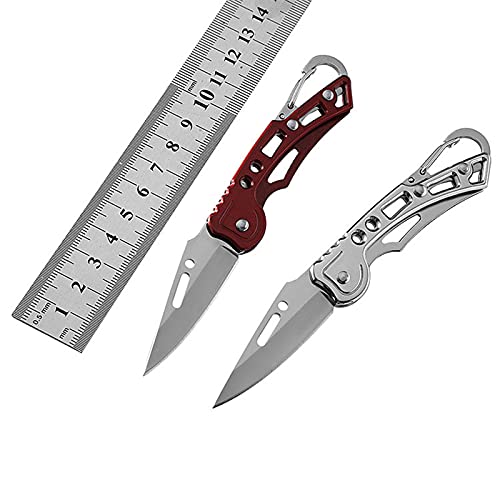 SHixu Folding Knife2Pcs Mini Keychain Knife Men's and Women's Pocket Knife Used for Cutting Rope, Paper Boxes and Fruits Easy to Carry Daily. Closed Length 3.15Inch/8cm