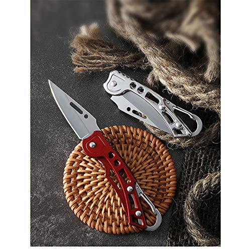 SHixu Folding Knife2Pcs Mini Keychain Knife Men's and Women's Pocket Knife Used for Cutting Rope, Paper Boxes and Fruits Easy to Carry Daily. Closed Length 3.15Inch/8cm