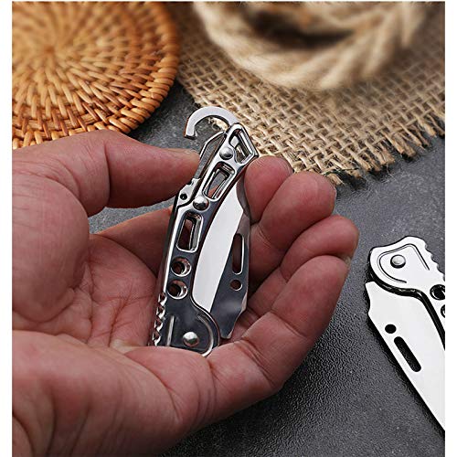 SHixu Folding Knife2Pcs Mini Keychain Knife Men's and Women's Pocket Knife Used for Cutting Rope, Paper Boxes and Fruits Easy to Carry Daily. Closed Length 3.15Inch/8cm