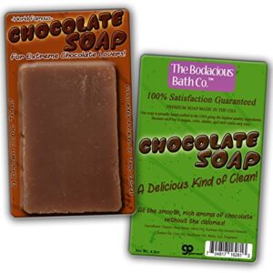 Chocolate Soap Chocolate Scented Bar Soap Funny Unisex Spa Gags for Women Men Chocolate Gags Secret Santa White Elephant Stocking Stuffers Novelty Soap Wife Friend Girlfriend