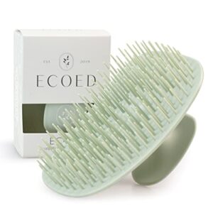 ecoed scalp massager shampoo brush, scalp scrubber for dandruff removal, scalp care hair brush wet & dry detangler for men and women.suitable for short medium hair.