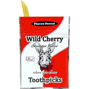 wild cherry flavored cinnamon toothpicks – 100ct