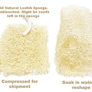 Introduction Price! 2ct Natural Loofah Sponge,Loofah Exfoliating Body Scrubber&Loofa Body Sponge,Shower Sponges for Men/Women,Skin Care,Body Scrub Exfoliator,Kitchen,Cleansing Exfoliating Sponge