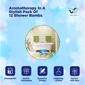 Aromatherapy Shower Steamers- Organic Shower Bombs - Natural Essential Oils for Strong Lingering Fragrance- Perfect for Women Men