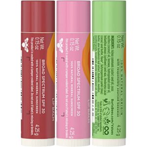 Burt's Bees SPF Lip Balms - 3 Pack Includes SPF 30 Tinted Lip Balms (2) & Soothing Aloe Lip Balm (1) with Aloe Vera, Coconut Oil & Shea Butter to Moisturize Dry Lips & After Sun Care