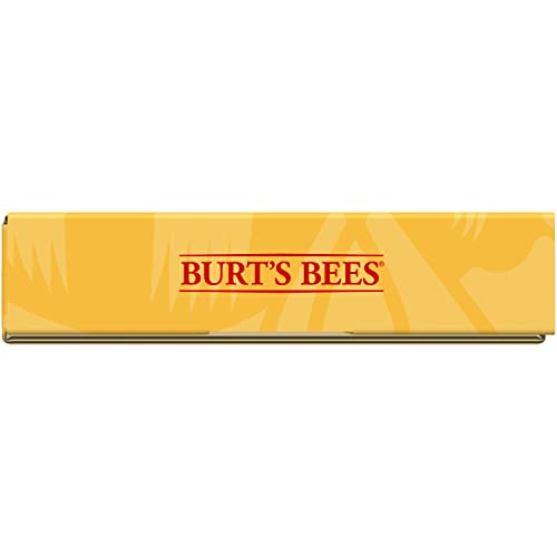 Burt's Bees SPF Lip Balms - 3 Pack Includes SPF 30 Tinted Lip Balms (2) & Soothing Aloe Lip Balm (1) with Aloe Vera, Coconut Oil & Shea Butter to Moisturize Dry Lips & After Sun Care