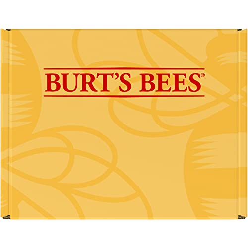 Burt's Bees SPF Lip Balms - 3 Pack Includes SPF 30 Tinted Lip Balms (2) & Soothing Aloe Lip Balm (1) with Aloe Vera, Coconut Oil & Shea Butter to Moisturize Dry Lips & After Sun Care