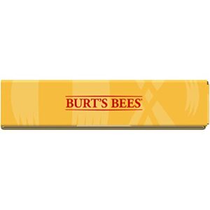 Burt's Bees SPF Lip Balms - 3 Pack Includes SPF 30 Tinted Lip Balms (2) & Soothing Aloe Lip Balm (1) with Aloe Vera, Coconut Oil & Shea Butter to Moisturize Dry Lips & After Sun Care