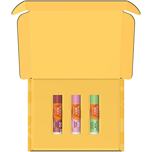 Burt's Bees SPF Lip Balms - 3 Pack Includes SPF 30 Tinted Lip Balms (2) & Soothing Aloe Lip Balm (1) with Aloe Vera, Coconut Oil & Shea Butter to Moisturize Dry Lips & After Sun Care