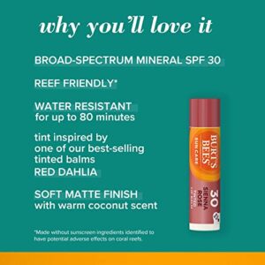 Burt's Bees SPF Lip Balms - 3 Pack Includes SPF 30 Tinted Lip Balms (2) & Soothing Aloe Lip Balm (1) with Aloe Vera, Coconut Oil & Shea Butter to Moisturize Dry Lips & After Sun Care