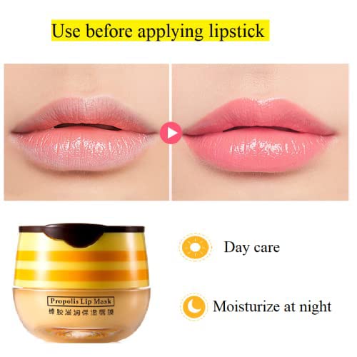 2PCS Bee Balm Lip Balm Honey Pot,Propolis Moisturizing Honey Lip Mask Lip Balm,Hydrating & Prevention Dry and Cracked Lip Scrubs Exfoliator (A)