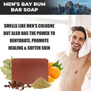 Men's Natural Soap Variety Pack Sampler Gift Box, Set of 4 Handmade Soap Bars - Scented Bar Soap for Men Face & Body Wash, Manly Soaps Gift Set for Him – Pine Tar, Alpine Sage, Cedar Citrus, Bay Rum