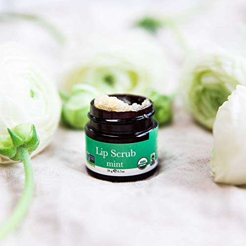 Organic Lip Scrub Mint - Lip Scrubs Exfoliator & Moisturizer, Lip Exfoliator Scrub, Sugar Lip Scrubs, Lip Sugar Scrub, Lip Care Products for Chapped Lips, Lip Scrubber, Lip Moisturizer for Dry Lips