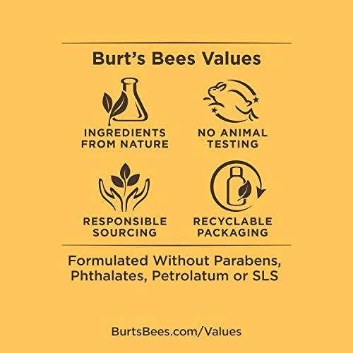 Burt's Bees Essential Gift Set, 5 Travel Size Products - Deep Cleansing Cream, Hand Salve, Body Lotion, Foot Cream and Lip Balm