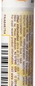 Chapstick Pumpkin Pie 0.15 Ounce (Pack of 3)