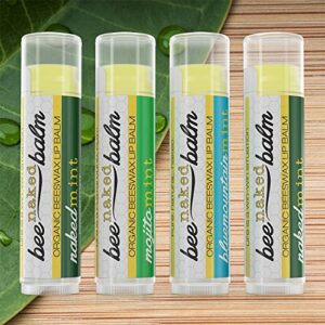 BeeNakedBalm Organic Lip Balm - Mint Lover's Variety 4 Pack - 100% Natural, 100% USA-Made, Gluten Free, Buttery Smooth Recipe - Peppermint, Spearmint & Eucalyptus Mint Flavors plus a FREE Cotton Pouch