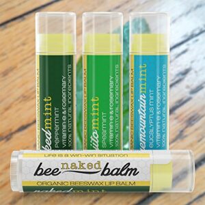 BeeNakedBalm Organic Lip Balm - Mint Lover's Variety 4 Pack - 100% Natural, 100% USA-Made, Gluten Free, Buttery Smooth Recipe - Peppermint, Spearmint & Eucalyptus Mint Flavors plus a FREE Cotton Pouch