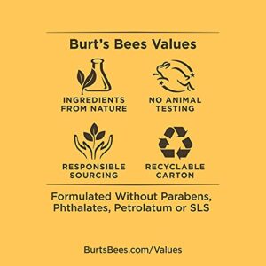 Burt's Bees 100% Natural Origin Rescue Lip Balm With Beeswax and Antioxidant-Rich Turmeric Promotes Healing Of Extremely Dry Lips, Unscented, 2 Tubes in Blister Box