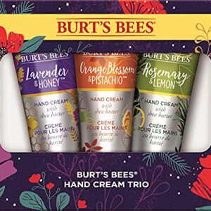 Burtâ€™s Bees Shea Butter Hand Cream Trio Set